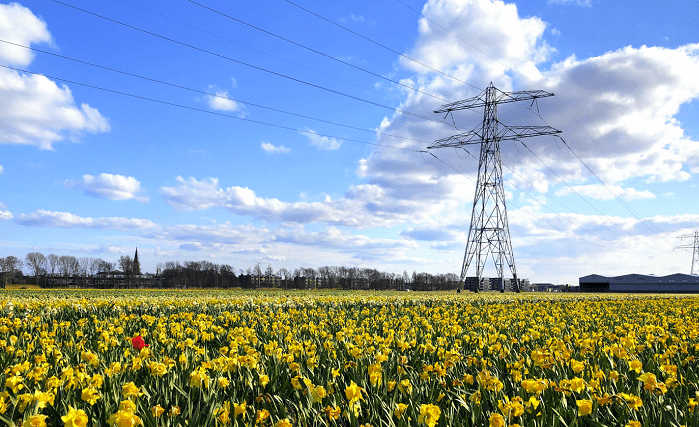 Pioneering Partnership: E-REDES and Hepta Airborne revolutionize ...