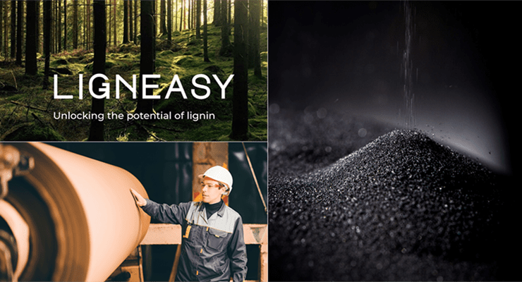 EIT InnoEnergy Invests in Bio-based Materials Start-up LignEasy
