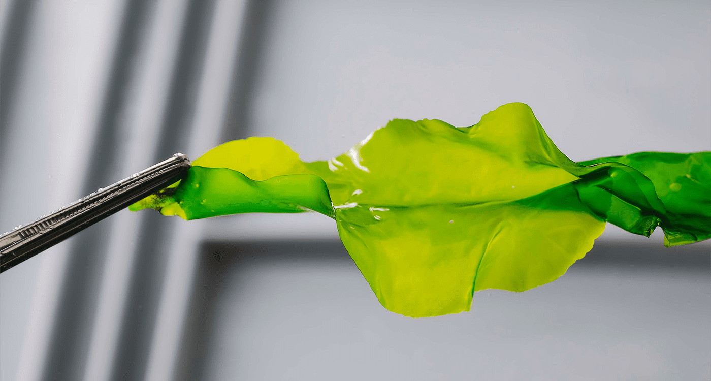 Nordic SeaFarm and FutureLab & Partners launch Manatee Biomaterials to ...